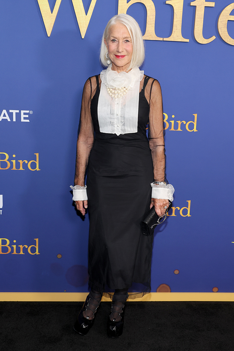 Lee Harris | The Wall Group