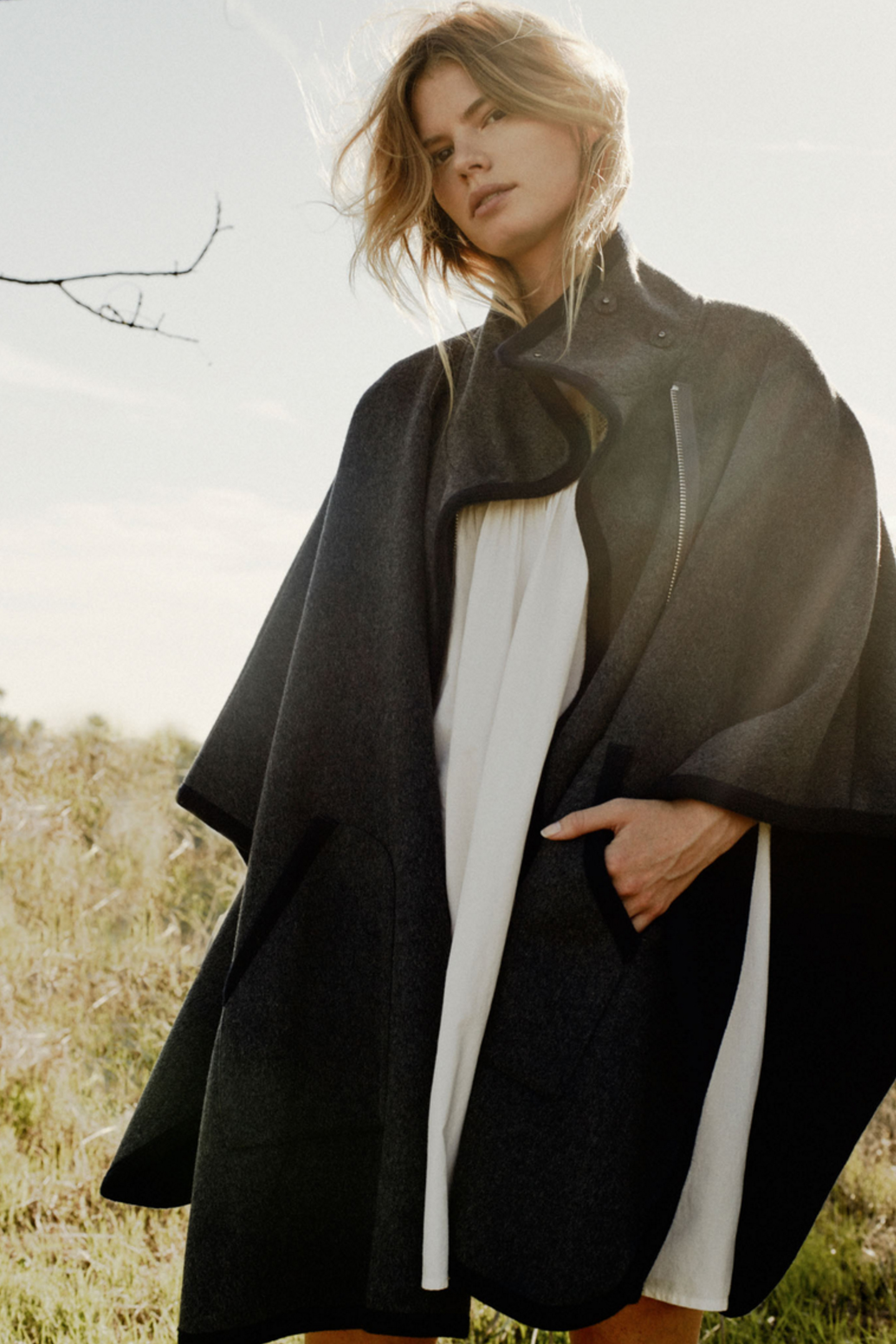 Cassondra Kaeding | The Wall Group